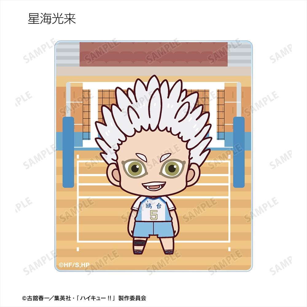 【ハイキュー!!】トレーディング ちょこんと！ アクリルカード ver.B(単位/単品)(全12種) / vvstore